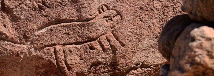 Animism is Relational, Earth-honoring, Wise, and Healing