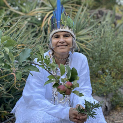 Tending the Wounds of Culture - Ancestral Medicine